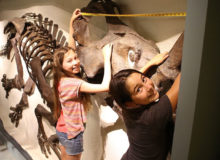 Museum School 101: What is a Museum School? - National Association of ...